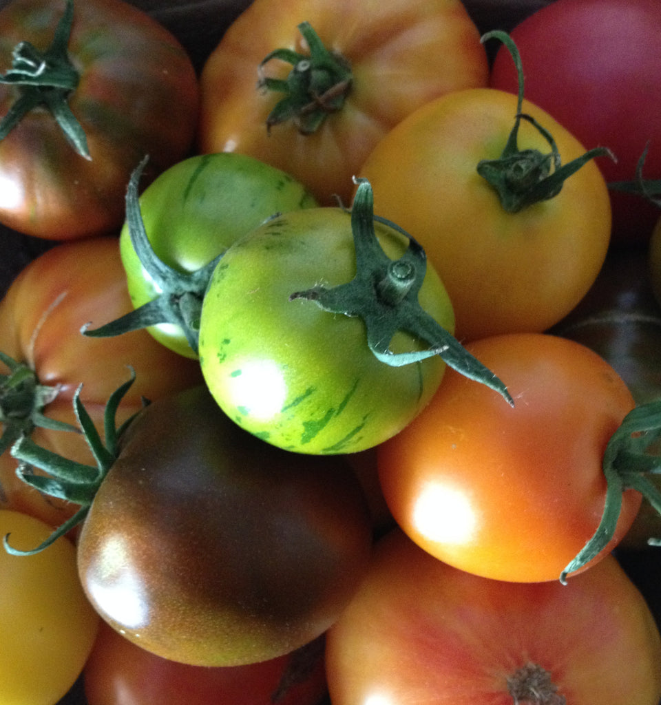 Mid-size Tomato Mix